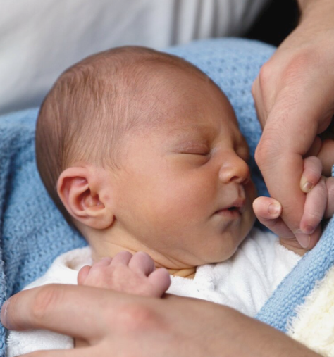 All About Newborn Naps: Nap Transition Series, Part I – Two Baby Bears ...